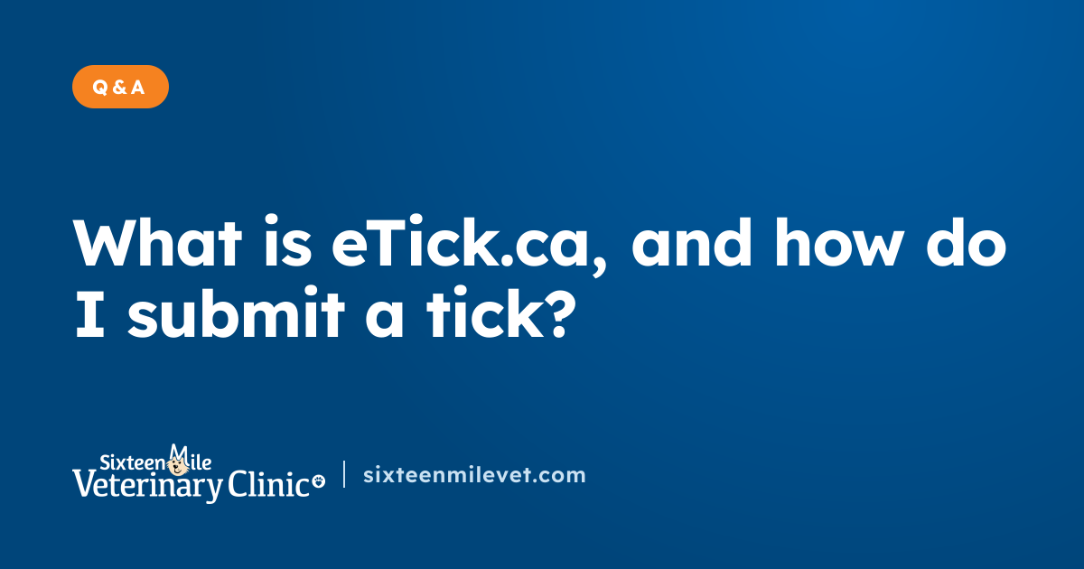 eTick.ca explained — how to submit a tick for ID | Answering your ...